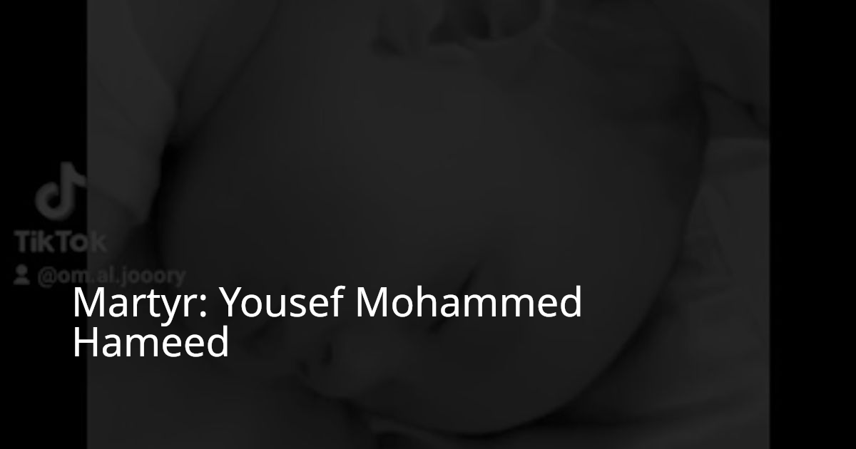 Martyr Yousef Mohammed Hameed